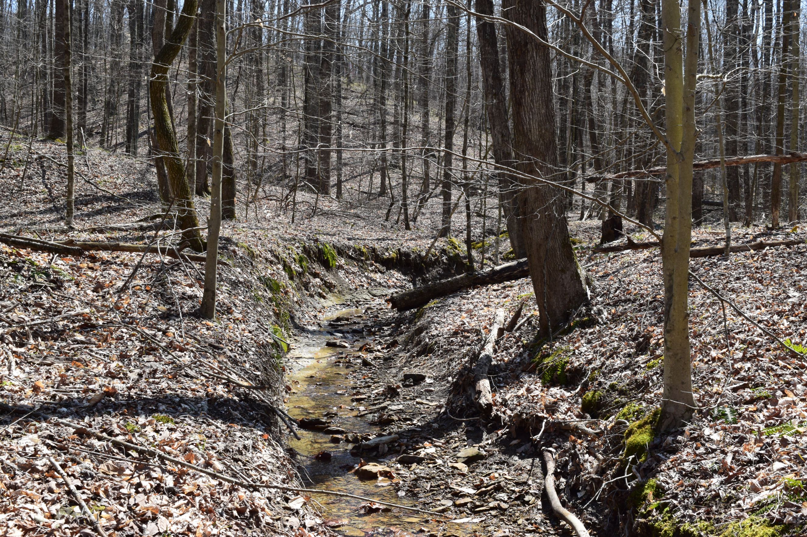 Property Map - Farm Real Estate for Sale, Wooded Property & Land Broker ...