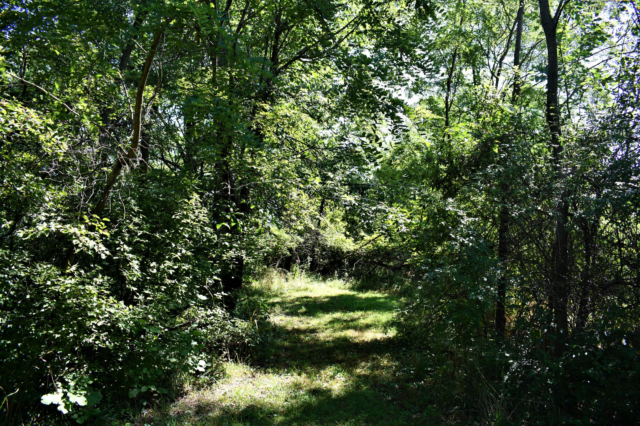 Property Map - Farm Real Estate for Sale, Wooded Property & Land Broker ...