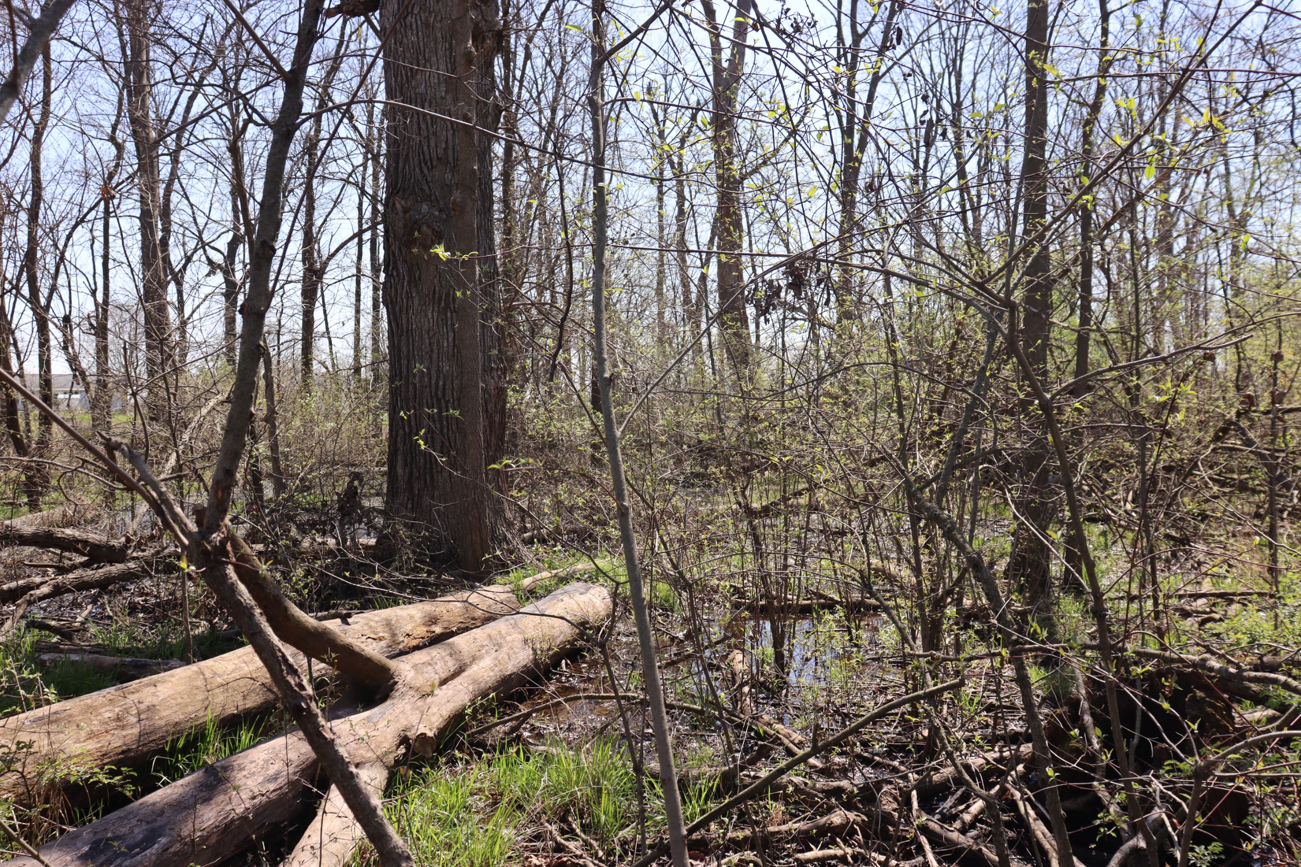 Property Map - Farm Real Estate for Sale, Wooded Property & Land Broker ...