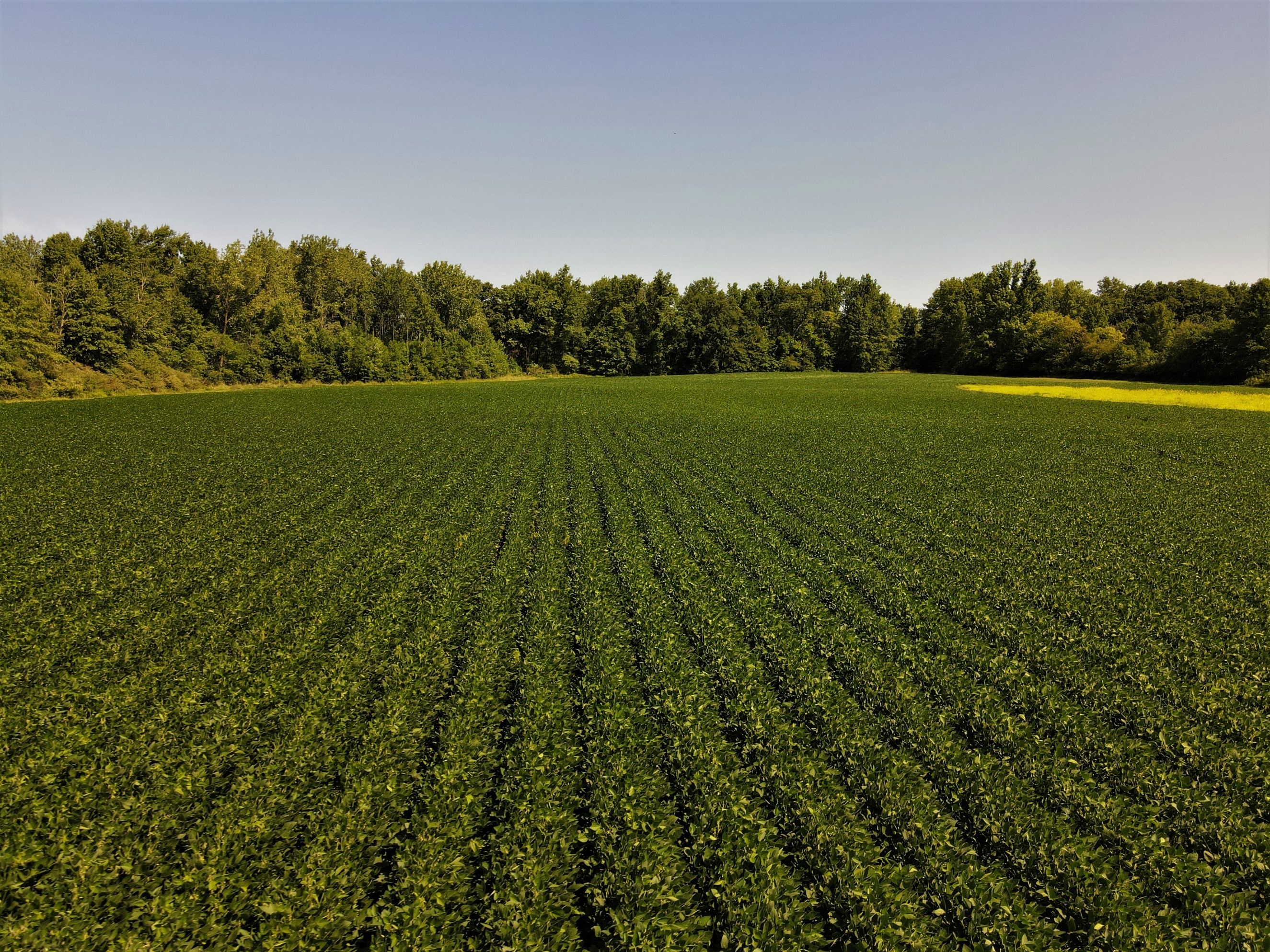 Property Map - Farm Real Estate for Sale, Wooded Property & Land Broker ...